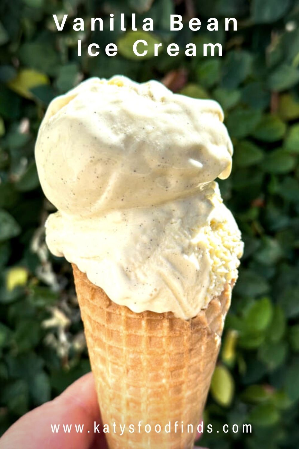 Chocolate Self Saucing Pudding - Katy's Food Finds